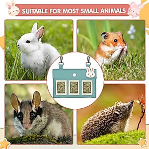 Rabbit Hay Feeder, Bunny Hay Bag for Rabbits,Rabbit Feeder Fabric Bag Feeder Storage Bag,3 Holes Cotton Canvas Fabric Hanging Hay Feeder Bag for Small Animal,Hay Guinea Pig(Macaron Green)