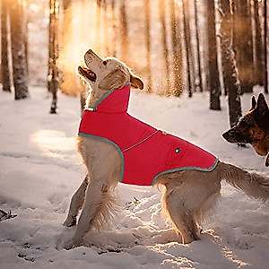 Dog Winter Coat Jacket, Dog Cold Weather Coats Vest, Warm Fleece Lining Dog Snow Coat for Small Medium Large Dogs Red M