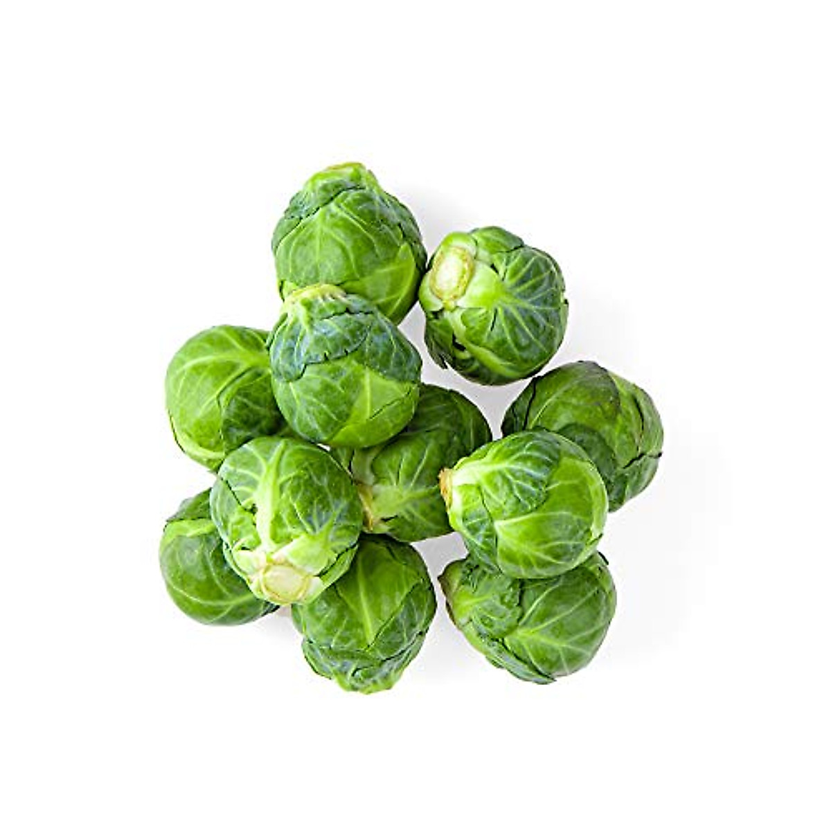 Long Island Improved Brussels Sprout Seeds for Planting, 200+ Heirloom Seeds Per Packet, (Isla's Garden Seeds), Non GMO Seeds, Botanical Name: Brassica oleracea, Isla's Garden Seeds