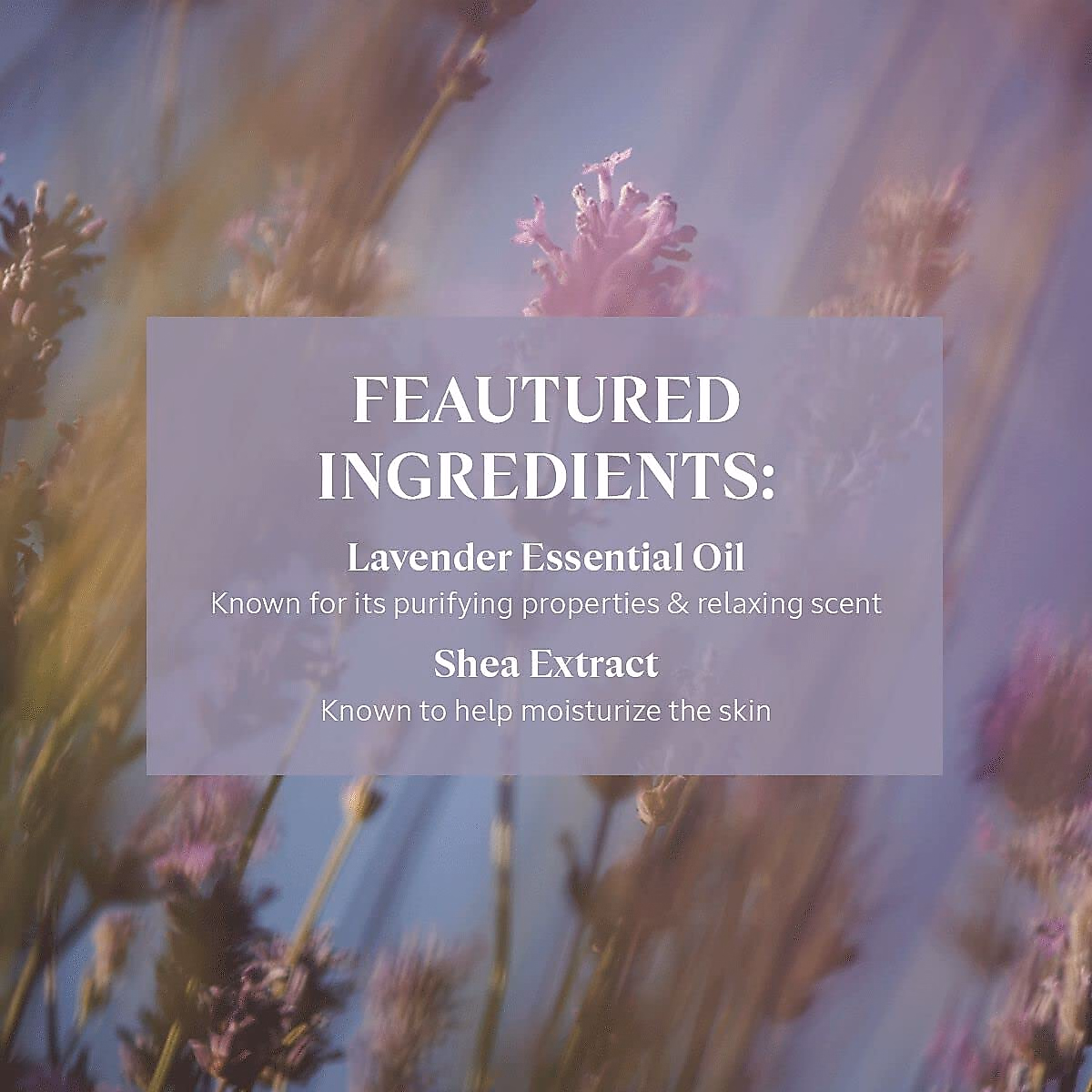 L'Occitane Shea Hand & Body Lavender Liquid Soap 16.90 Fl Oz