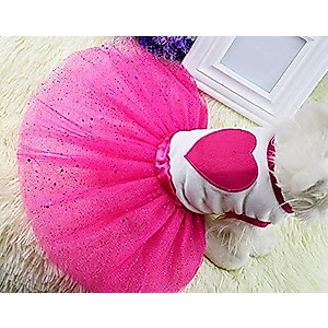 Idepet Spring Summer Pet Dog Cat Puppy Tutu Princess Dress Heart Printed Lace Dog Skirt Pet Apparel Dog Dress(XXL)