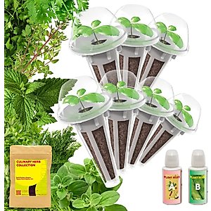 Herb Seed Starter Pod Kit Plant for AeroGarden,MUFGA, inbloom 5 Pods Hydroponics Growing System, Indoor Garden, 7-Pods (300+ Seeds Included Basil, Parsley, Oregano, Thyme, Mint, Cilantro, and Dill)