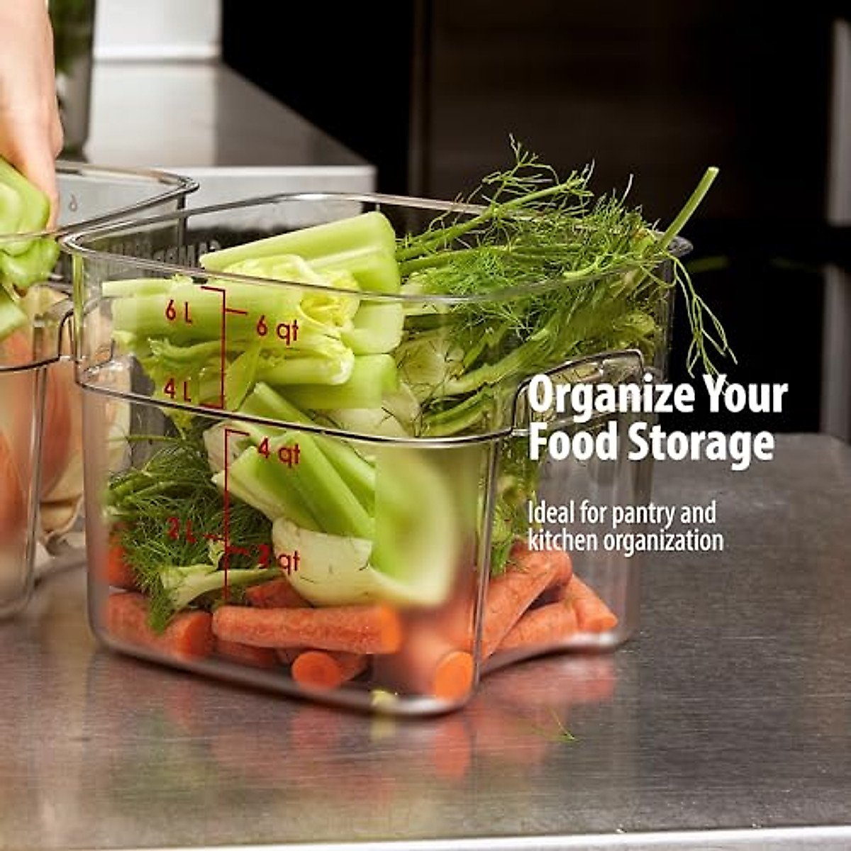 Cambro FreshPro 6Qt Food Storage Container in Clear for Industrial and Kitchen Use, Pantry Organization and Food Freshness