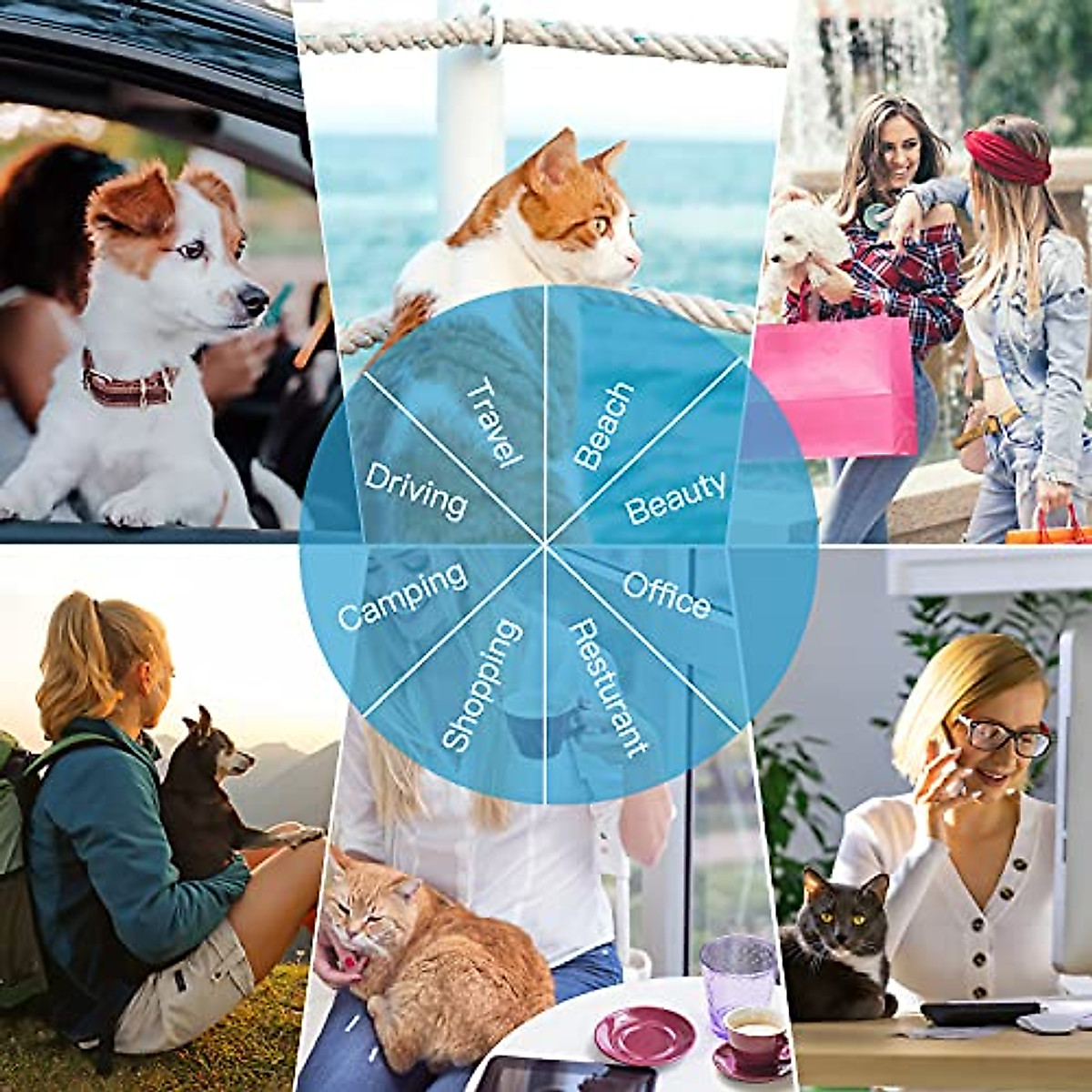 Siivton Airline Approved Pet Carrier, Soft Sided Pet Travel Carrier 4 Sides Expandable Cat Carrier with Fleece Pad for Cats, Puppy and Small Dogs