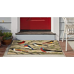 Liora Manne Frontporch Birds Indoor/Outdoor Rug, 2 x 3 ft, Multi