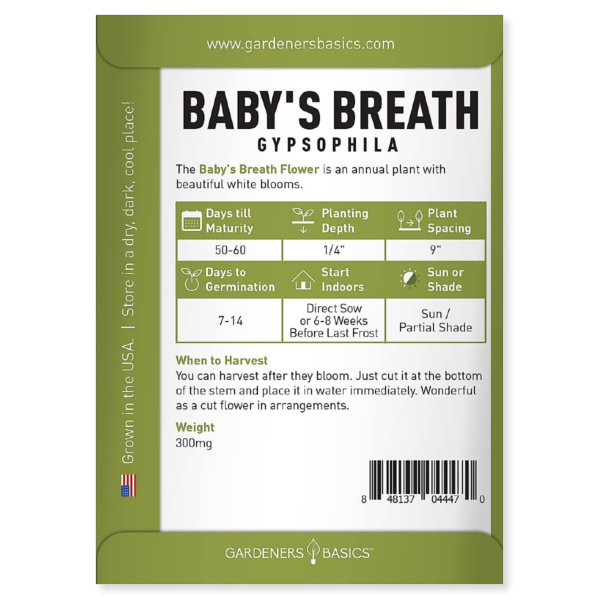 Baby's Breath Seeds for Planting Gpsophila - Beautiful Annual Cut Flower for Flower Arrangements and Beautiful in Flower Beds in Summer Gardens Too by Gardeners Basics
