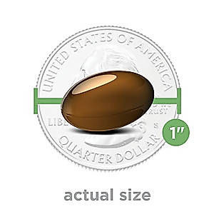 PreserVision AREDS 2 Formula - 120 softgels (New Minigels)