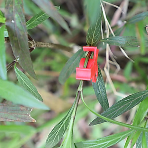 LucyPhy 30 Pack Plant Bender Angle Adjustable Plant Training Clips Low Stress Training Clips 90 Degrees Plant Stem(Circle Style,Red)