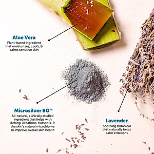 Pet Honesty Restore + Soothe Shampoo for Sensitive Skin for Dogs & Cats (Lavender) 12oz + Multivitamin Dog Supplement with Glucosamine, Probiotics, Omega Fish Oil for Skin and Coat Allergies (Chicken