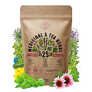 Organo Republic 25 Medicinal & Tea Herb Seeds Variety Pack for Indoor & Outdoors. 5800+ Non-GMO Heirloom Garden Seeds: Anise, Borage, Cilantro, Chamomile, Dandelion, Rosemary, Peppermint Seeds