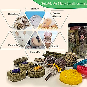 FIPASEN Rabbit Chew Toys for Teeth, 16PCS Natural Timothy Hay Chew Toy, Improve Dental Health for Bunny/Chinchilla/Guinea Pig/Hamsters/Holland Lop, Small Rodent Pet Molar Teeth Treats Toys