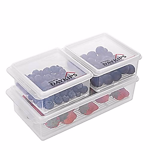 Komax Daykips Berry Containers for Fridge | (Set of 3) lettuce keeper for fridge | Produce Storage BPA-Free Freezer and Fridge Organizers with Dripping Tray | Salad Keeper