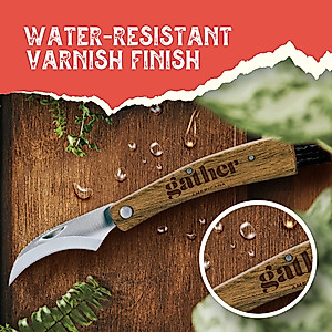 Gather Americana Mushroom Foraging Knife - 3 Inches High Carbon Steel Blade - Boar-Bristle Brush and Walnut Handle