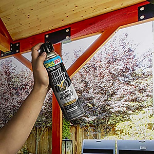 Hot Shot Wasp & Hornet Killer Spray, Eliminates The Nest, Sprays Up Tp 27 Feet, 17.5 fl Ounce