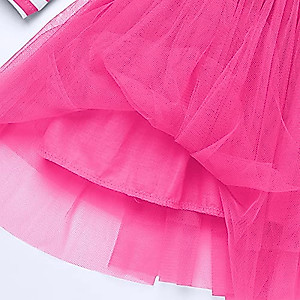 Baby Girls Shinny Stripe Long Sleeve Printed Princess Casual Birthday Tutu Tulle Dress Hot Pink Crown(Two Years)