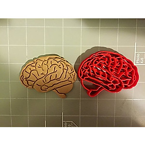 Brain Anatomy Cookie Cutter