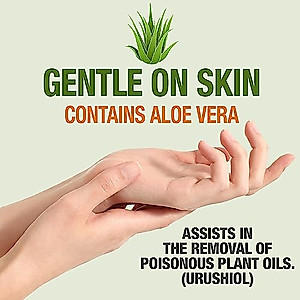 CoreTex Ivy X Post-Contact Poison Ivy Wipes - Pack of 300 Single-Use Poison Ivy Treatment Wipes to Assist in the Removal of Poison Ivy, Poison Oak, & Poison Sumac Oils - Poison Ivy Wash Wipes