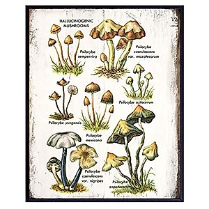 Psychedelic Hallucinogenic Medicinal Magic Mushrooms Botanical Prints Art - Psilocybin Spores Trippy Wall Decor - Pshycadellic Room Decor - Vintage Retro Rustic Sign Plaque Poster for Kitchen, Dorm