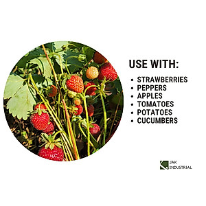 25 Pack Green Molded Pulp Fiber Berry/Produce 1.5 Quart Basket - Large Berry Basket