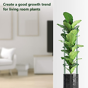 12Packs Plant Support Stake Half Round Plant Support, Stackable 3 Tier Garden Flower Support, Plant Stakes for Indoor Outdoor Plants for Tomato,Monstera, Peony, Hydrangea, Climbing Plants