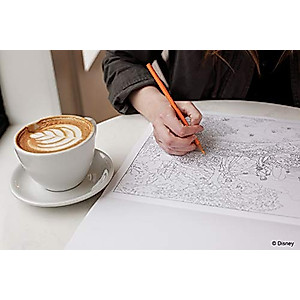 Disney Dreams Collection Thomas Kinkade Studios Disney Princess Coloring Poster Book