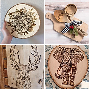 Wood Burning Kit, LED Display Wood burning Tool with Adjustable Temperature Switch Pyrography Pen for Adults Beginners