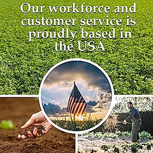 Summer Garden Heirloom Vegetable Seeds - ~5,000+ Total Seeds, 7 Varieties of Seeds to Sow in Summer Months - Beet, Lettuce, Radish, Basil, Cabbage, Cucumber, & Squash Heirloom Seeds for Planting