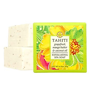 Greenwich Bay Destination Exfoliating Spa Soaps 7 Piece Set of 6.35 Ounce Bars - Travel to London, Kyoto, Tahiti, Paris, Fiji, Morocco, and Sicily without leaving your home!