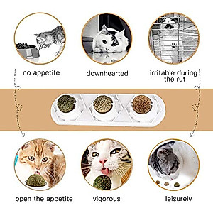 WoLover Catnip Wall Ball Toys – Rotatable Cat Snack Edible Balls with Natural Healthy Catnip | Silvervine | Gall Nut, Kitten Playing Chewing Cleaning Teeth Toy