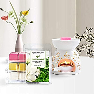 Scented Wax Melts, Wax Cubes, Scented Soy Wax Melts for Wax Warmer, 12 x 2.5 oz, 12 Home Fragrance Scents