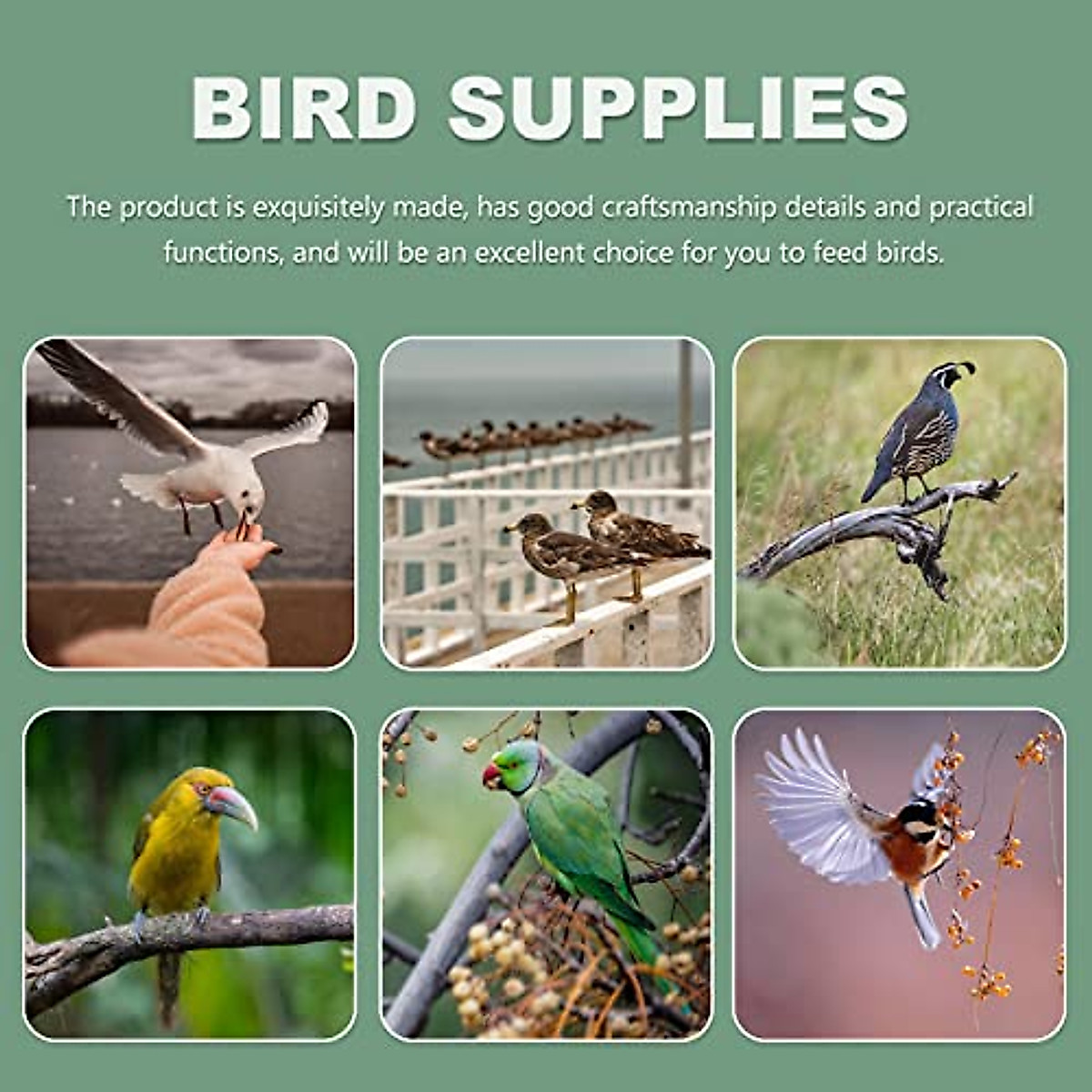 2pcs Bird Cage Feeding Container Bird Food Trough Bird Feeder Thick Semicircle Bird Food Box Bird Cage Accessories for Birds(Transparent)