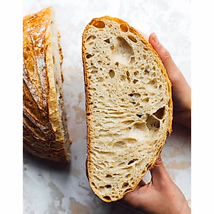 WWJD Worms 900 Year Old Organic Fresh Sourdough Starter Yeast Culture - Dutch/Wales Heritage Starter