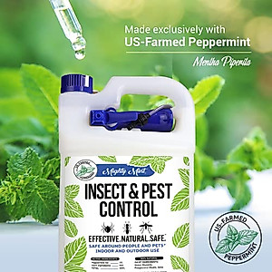Mighty Mint Gallon (128 oz) Insect and Pest Control Peppermint Oil - Natural Spray for Spiders, Ants, and More