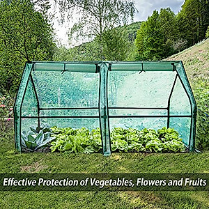 Byhagern Mini Greenhouse, 71'' x 36'' x 36'' Garden Plant Green House with 2-Zipper Doors, Portable Green Hot House for Indoor/Outdoor, Patio, Backyard and Nursery