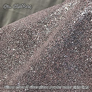 Go Ho Hair and Body Glitter Spray,Festival Glitter Powder Makeup for Hair/Body/Clothes,Silver Glitter Spray Loose Sparkle Powder Makeup for Body Highlighter,Festival Rave Accessories,10g