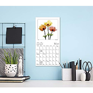 2021 Flower Spirits Radiographs of Nature by Steven N. Meyers Mini Calendar