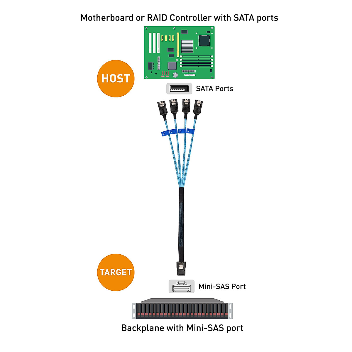 Cable Matters Internal Mini SAS to SATA Reverse Breakout Cable (SFF-8087 to SATA) 1.6 Feet