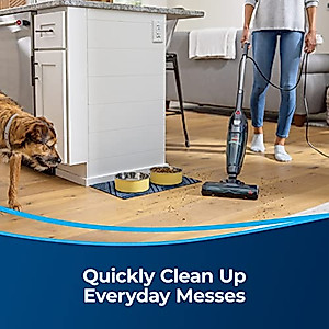 BISSELL® Featherweight™ PowerBrush Vacuum, 2773A Gray