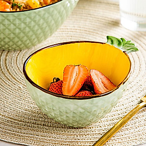 SEWACC Ceramic Hawaiian Pineapple Bowl: 2pcs Tropical Theme Porcelain Soup Oatmeal Cereal Stew Dessert Bowl Salad Pasta Rice Yoghurt Condiments Side Dishes Dip Ramen Noodle Plate