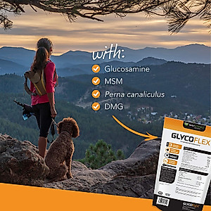 Glyco Flex III Bite-Sized Chews 120 Ct [Misc.]