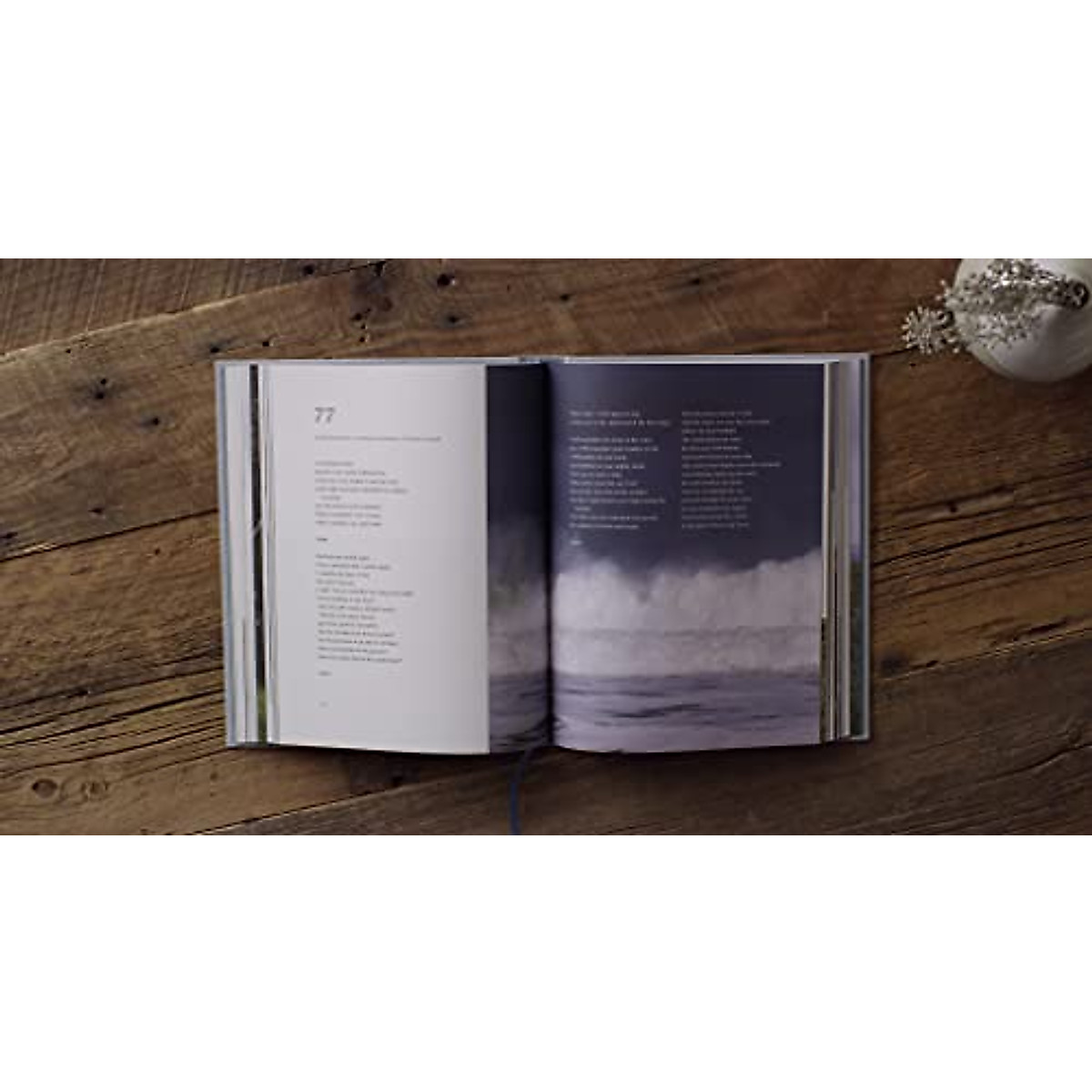 ESV Psalms, Photography Edition (Hardcover)