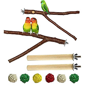 PINVNBY Bird Perch,Parrot Perches Stand Natural Peach Wood Fork Parakeet Birdcage Paw Climbing Stands Cage Toy Accessories for Conures,Lovebirds,Budgies,Cockatiels and Finches(10 Pcs)