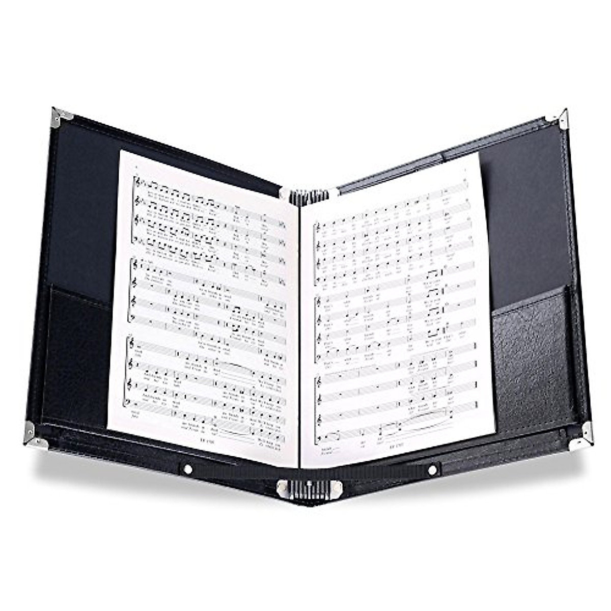 MSP Professional (9.5" x 12") Elastic Music/Choral Folder w/Handle & Detachable Strap + Bonus Set of Stray -MSP200 (Music Folder with 9 Elastic Cords)