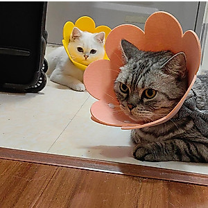 【4PCS】 Soft Cat Cone Collar,Adjustable Protective Collars for Pet Cat,Recovery cat E Collar, Anti-Bite Lick Wound Healing Soft cat Cones to Stop Licking cono para perro Cone for cat Cone Soft (M)