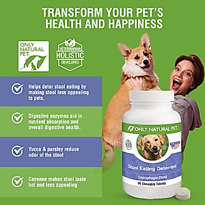 ONLY NATURAL PET Stool Eating Deterrent - Stop Stool Eating Coprophagia - Prevent Poop Eating in Dogs & Puppies | w/Digestive Enzymes | 90 Chewable Tablets for Gut Health - Natural Turkey Flavor