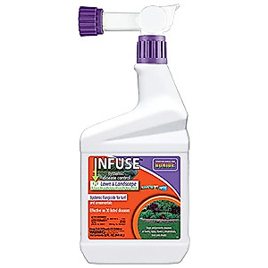 Bonide Infuse Systemic Disease Control, 32 oz Ready-to-Spray Solution for Lawn & Landscape, Fungicide for Turf & Ornamentals