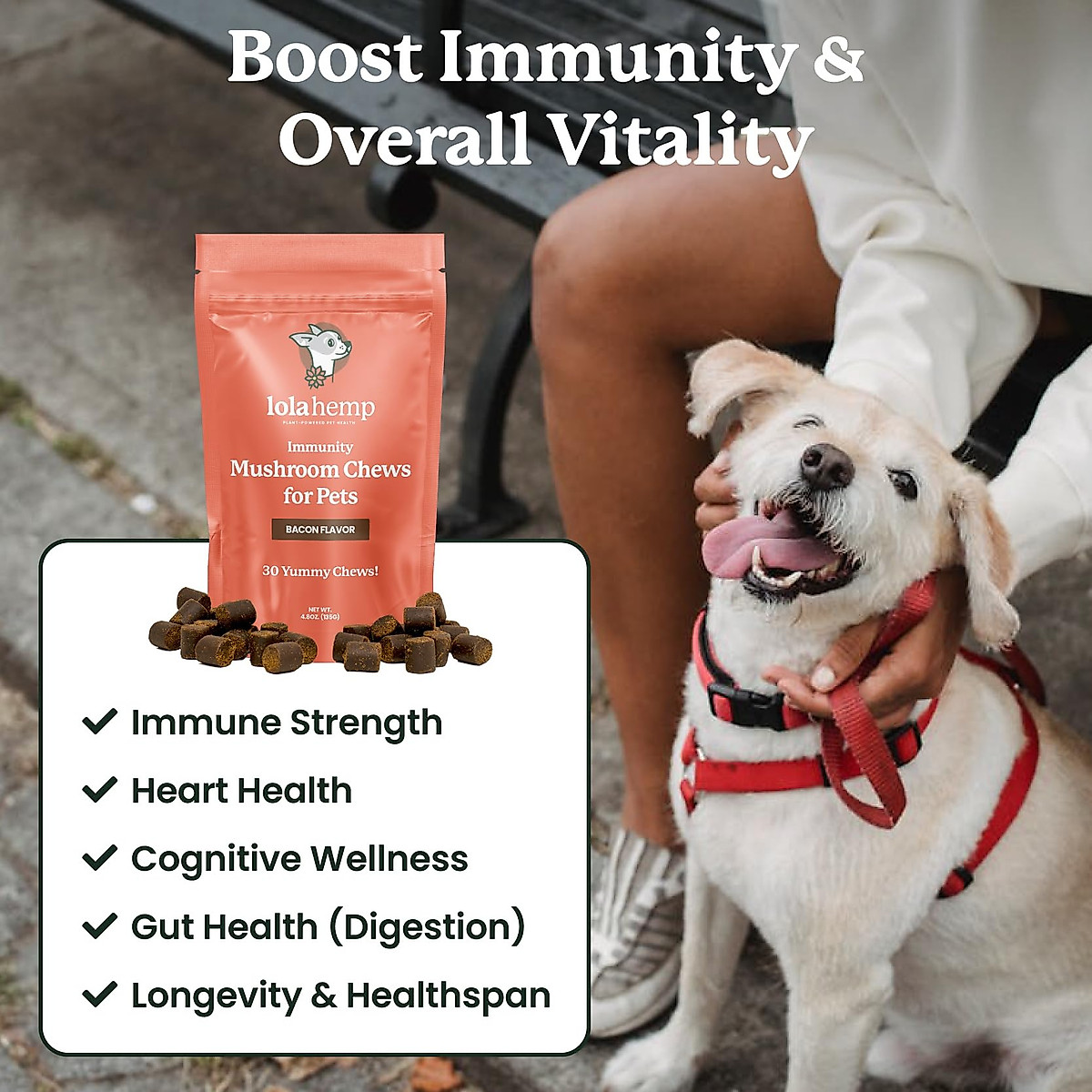 Lolahemp Mushroom Supplement for Dogs - Tasty Chews with Organic Mushroom Complex for Immune System & Cognitive Health - Turkey Tail, Reishi, Shiitake, Maitake & Lion's Mane