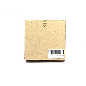 Real Giant Bird Eating Eurypeima Spincrus Tarantula Spider Animals Taxidermy in Frame