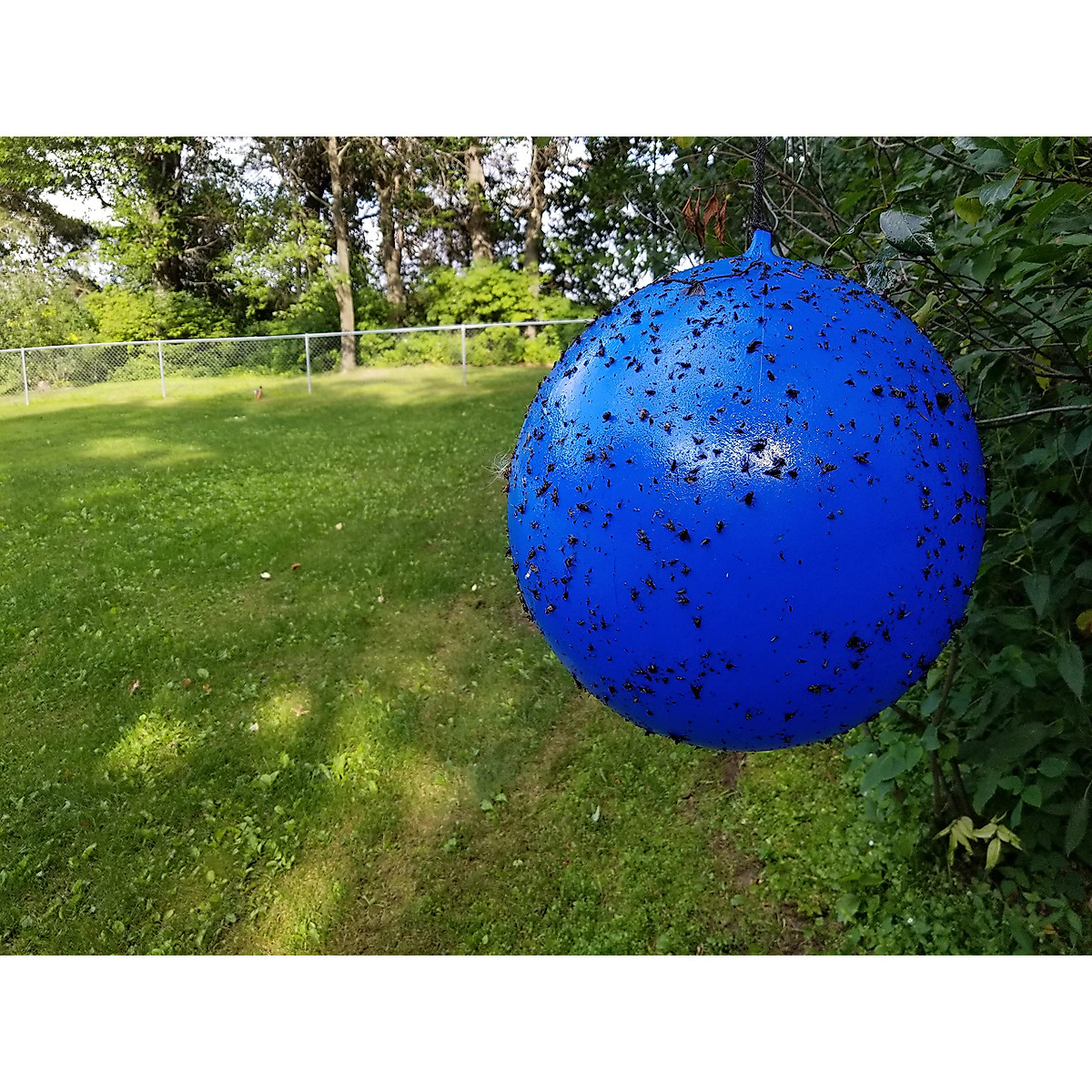 Bug Ball Deer Fly Ball Replacement Ball, 4 Pack - Odorless Eco-Friendly Biting Fly and Insect Killer with NO Pesticides or Electricity Needed, Kid and Pet Safe