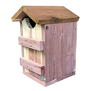 Vundahboah Amish Goods Screech Owl House Box for Nesting- Handmade in USA- Solid Cedar Wood Saw-Whet/Kestrel/Screech Owl/Flicker- Cedar Shavings Included